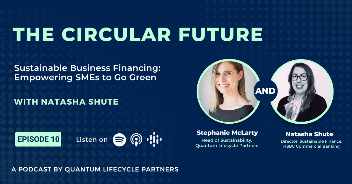 Sustainable Business Financing: Empowering SMEs to Go Green - Quantum ...